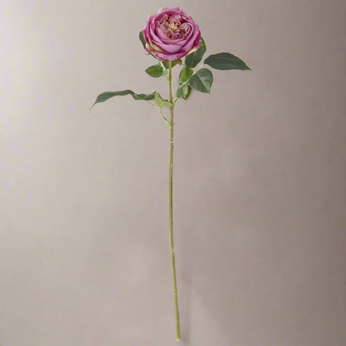 Real Touch Austin Rose Dark Purple Stem 24" – Oh La La Decor
