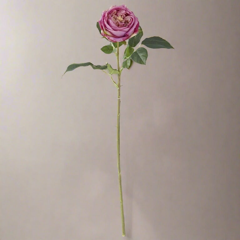 Real Touch Austin Rose Dark Purple Stem 24" – Oh La La Decor